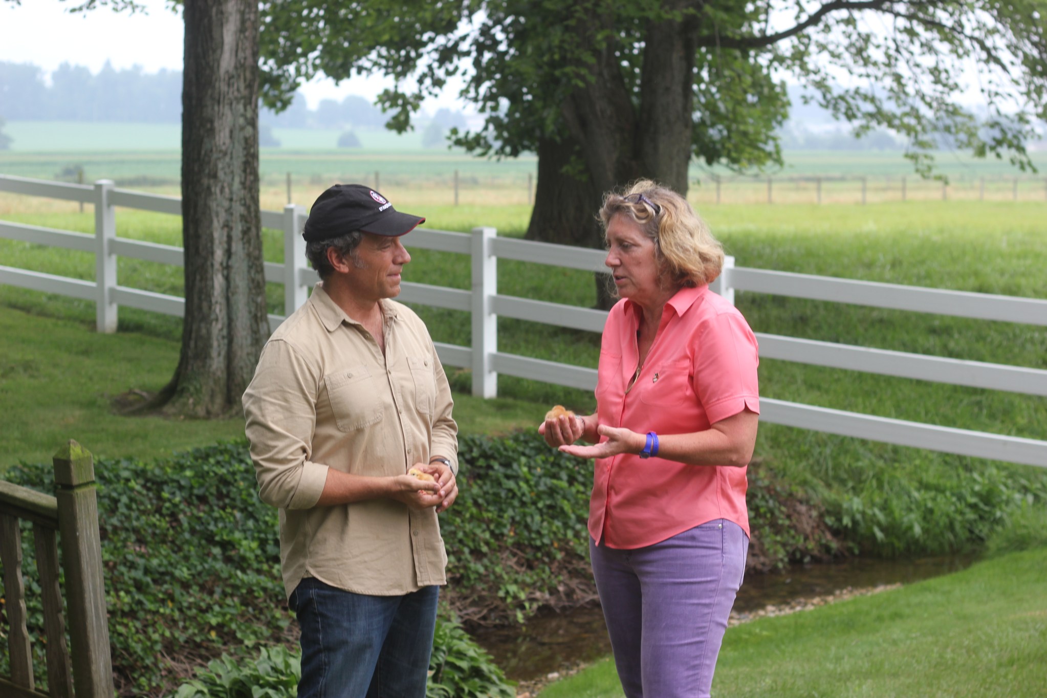 Our Green Circle Chicken – Center of the Plate | D'Artagnan Blog