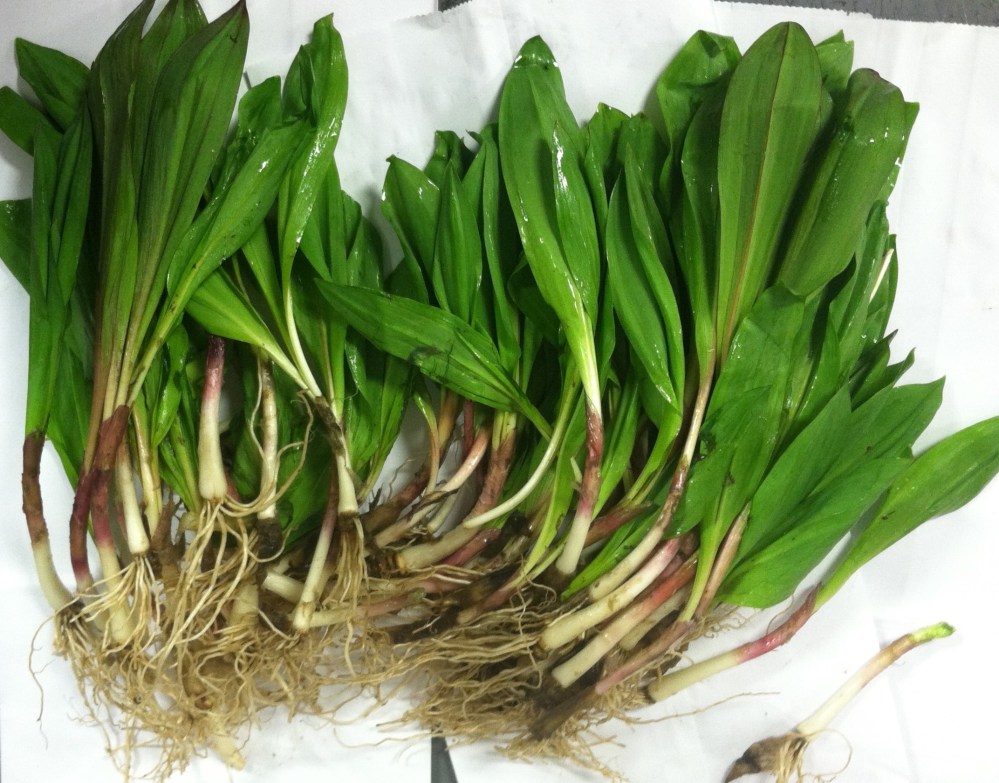 Happy Spring! Let’s Eat – Center of the Plate | D'Artagnan Blog