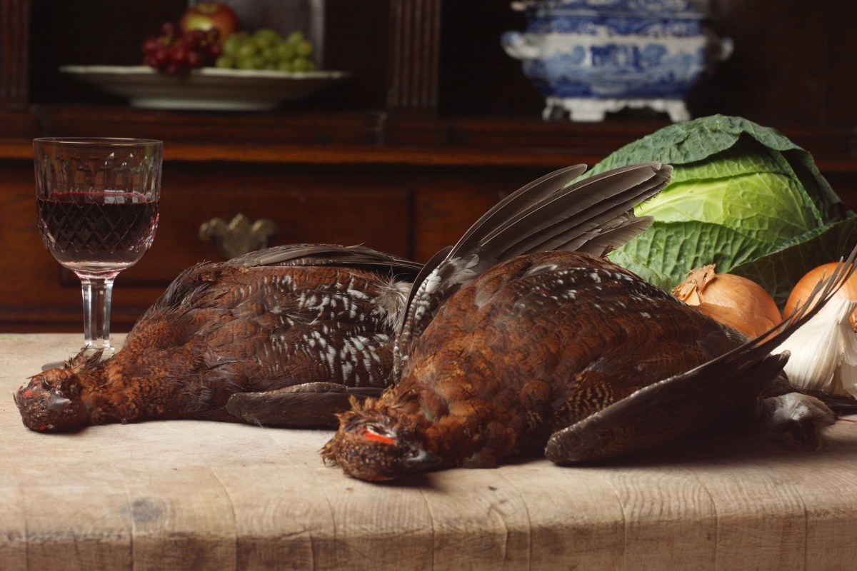 Eating Wild Game Birds – Center of the Plate | D'Artagnan Blog