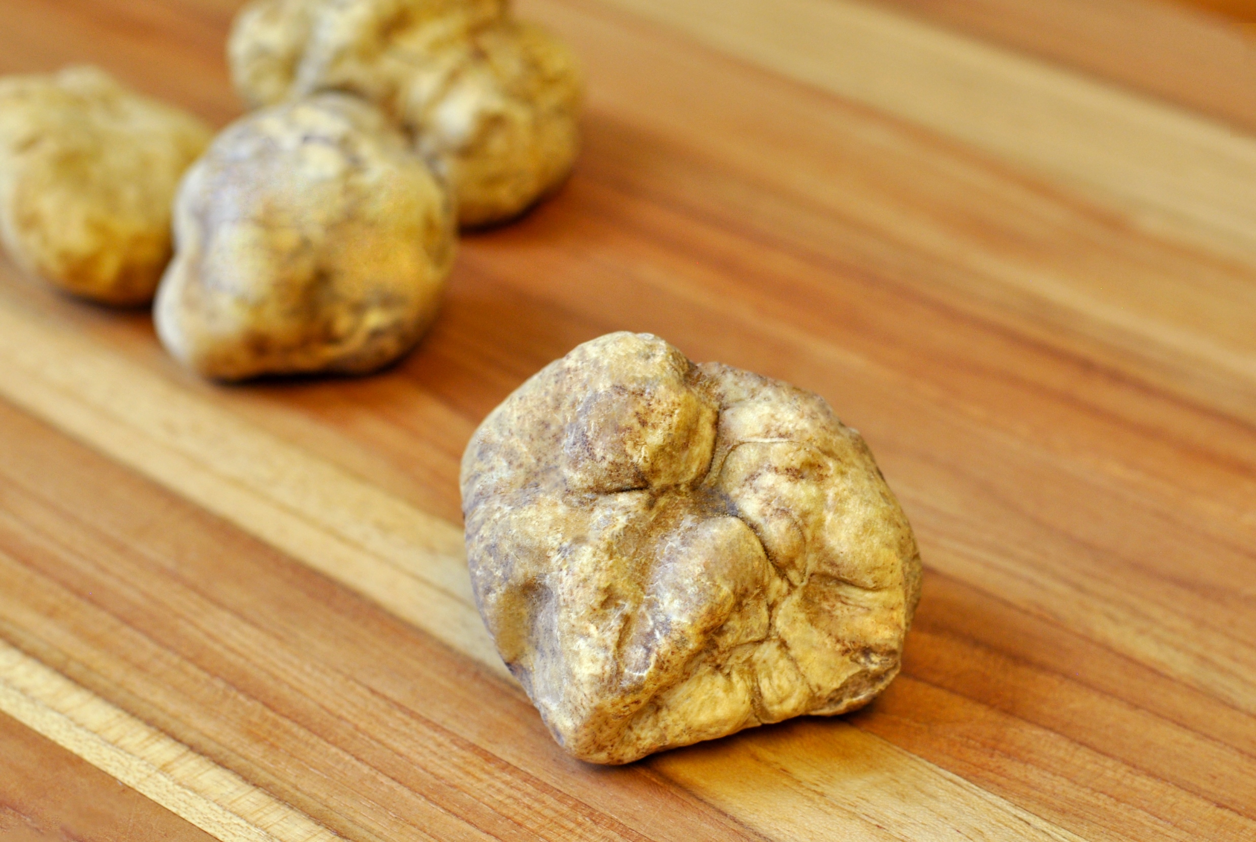Big News: White Truffles Are Here! – Center of the Plate | D'Artagnan Blog