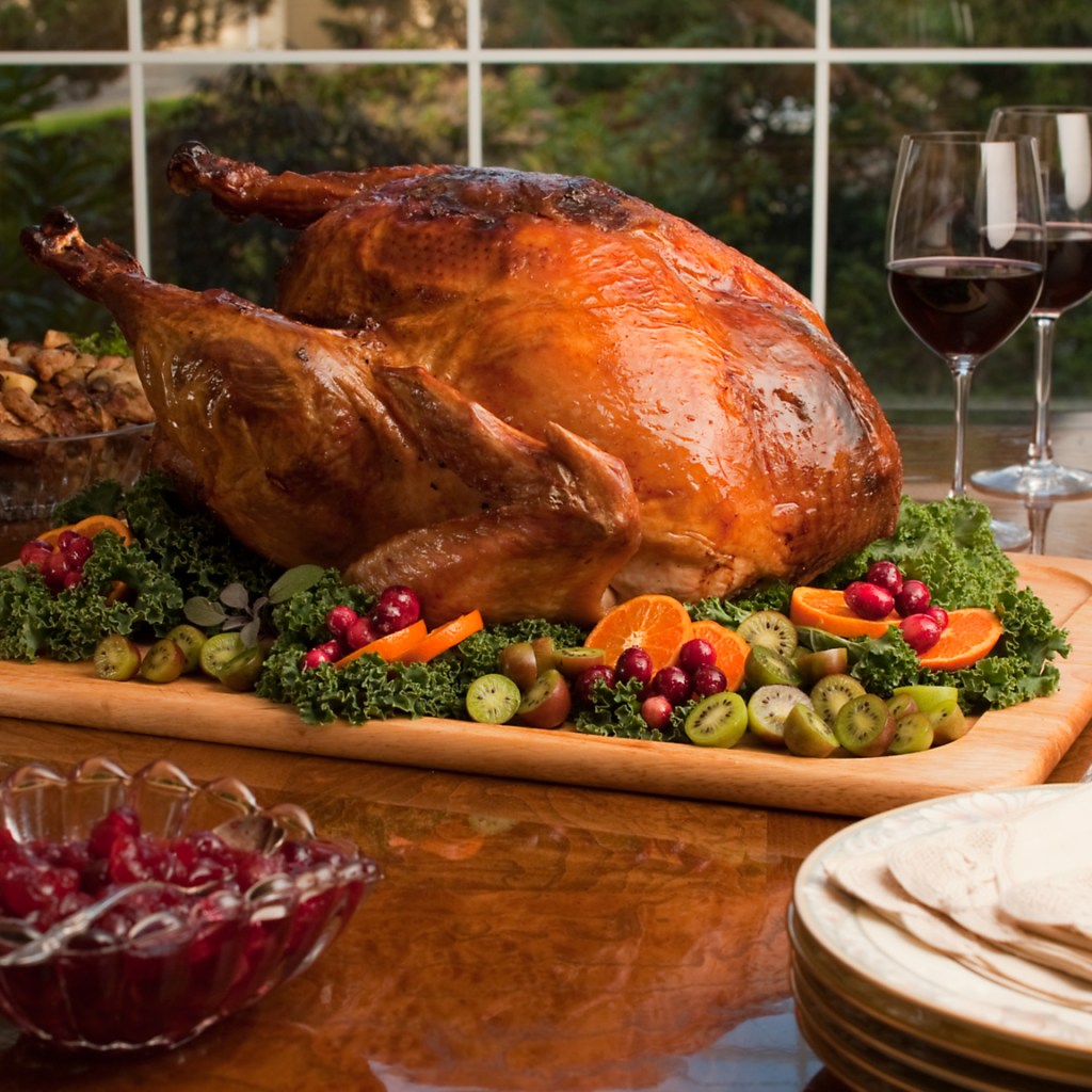 Top 6 Turkey Recipes – Center of the Plate | D'Artagnan Blog