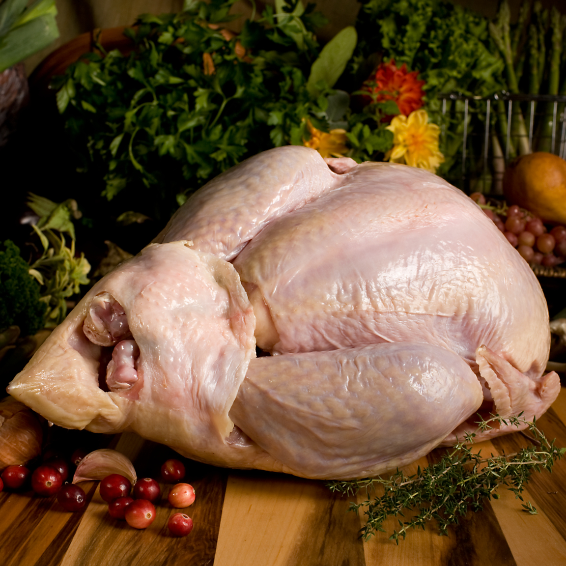 Choosing Your Thanksgiving Turkey – Center of the Plate | D'Artagnan Blog