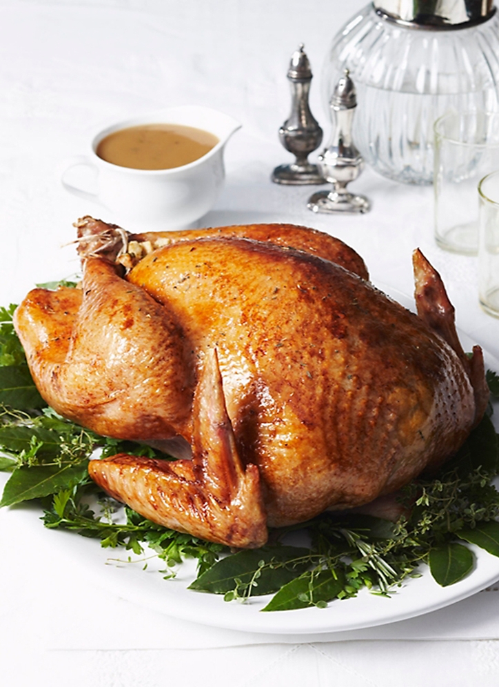 Top 6 Turkey Recipes – Center of the Plate | D'Artagnan Blog