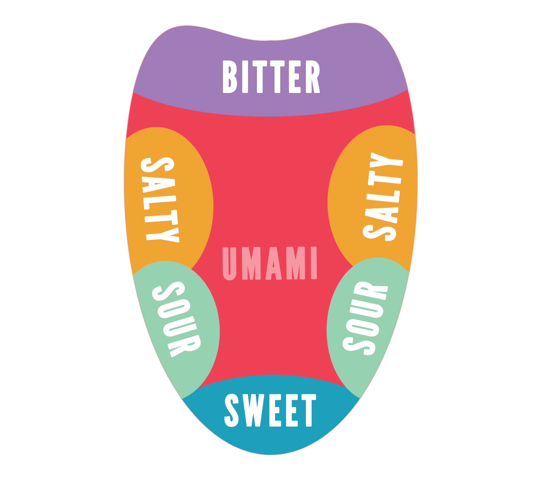 What is Umami? – Center of the Plate | D'Artagnan Blog