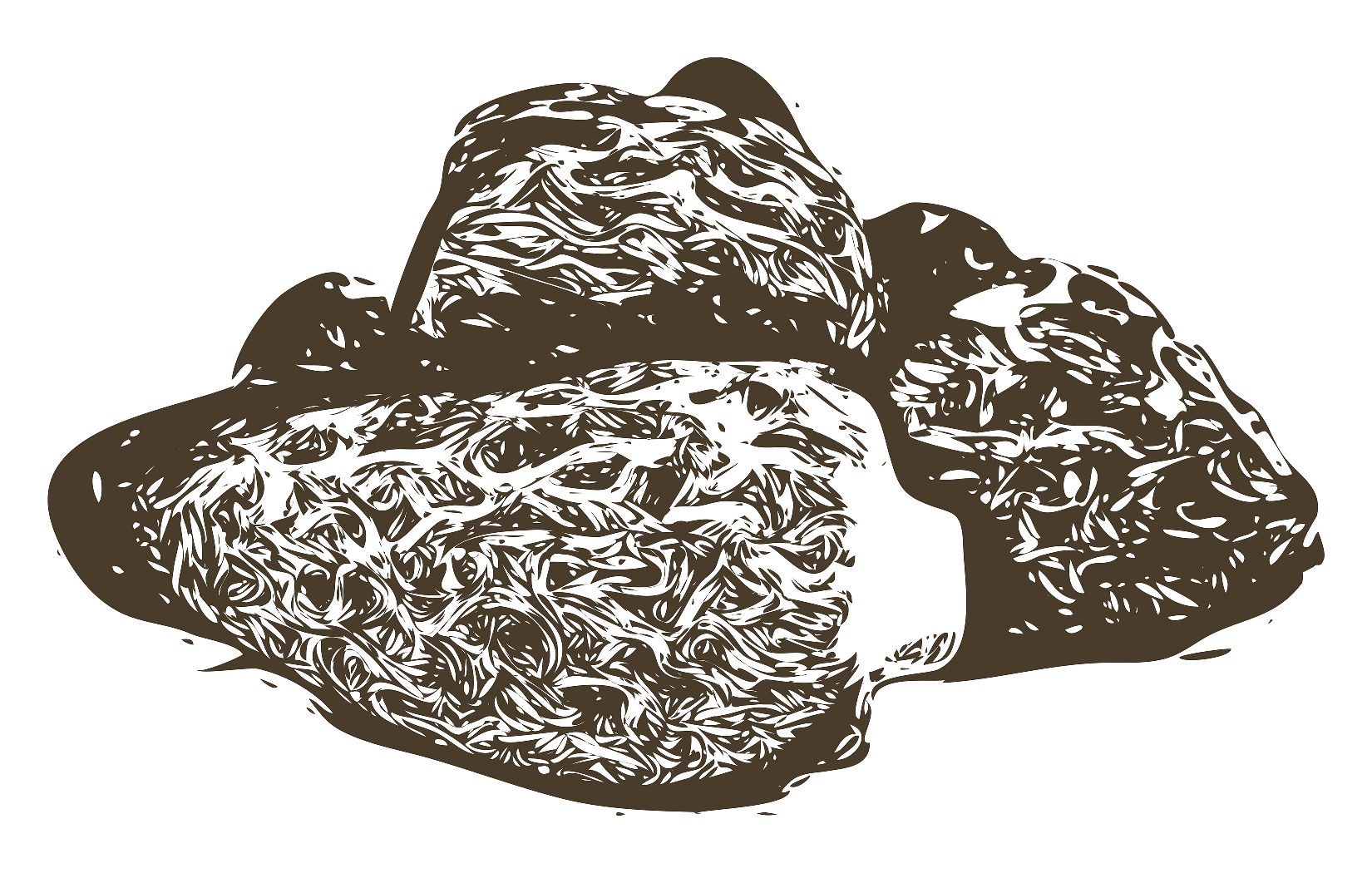 How To Best Enjoy Morel Season – Center of the Plate | D'Artagnan Blog