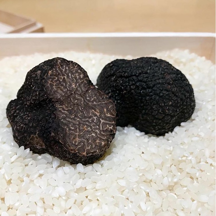Why Wait for Winter to Enjoy Black Truffles? – Center of the Plate | D ...