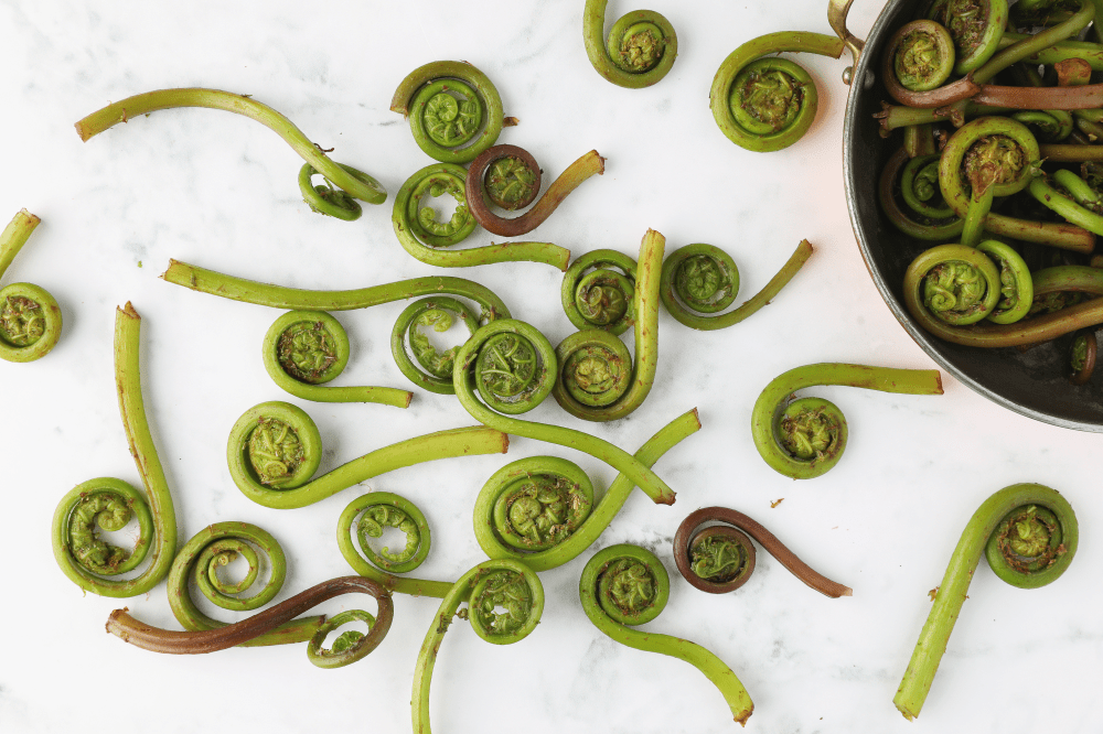 How to Bake Focaccia with Fiddlehead Ferns – Center of the Plate | D ...