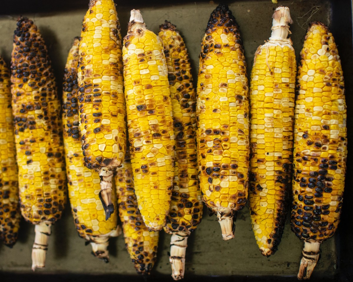 4 Fresh and Easy Recipes You’ll Love to Make with Summer Corn – Center ...