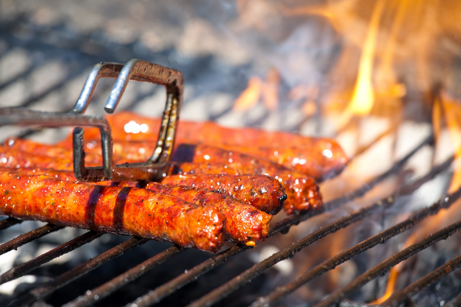Everything You Need to Know About Lamb Merguez – Center of the Plate ...